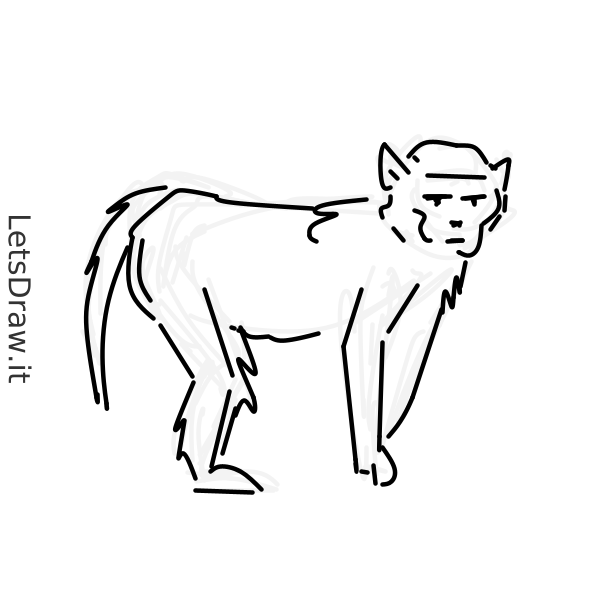 How to draw monkey / efqjenzoy.png / LetsDrawIt