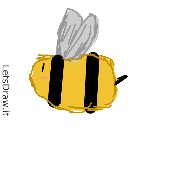 How to draw bee / egd5fwgst.png / LetsDrawIt