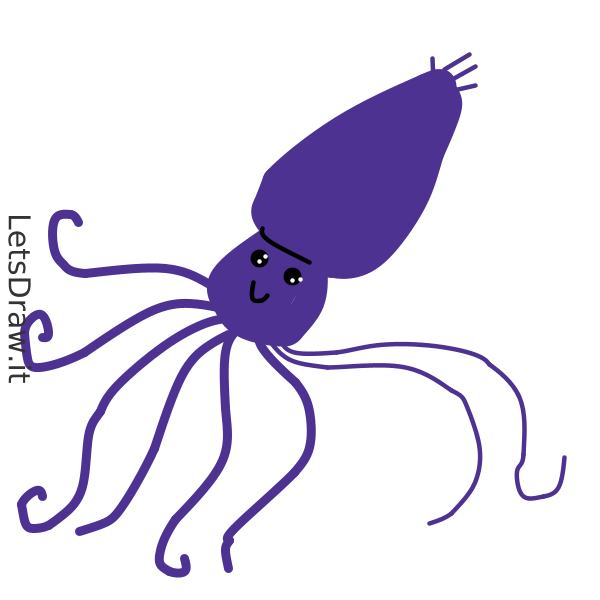 How to draw squid / eiam6u5n.png / LetsDrawIt