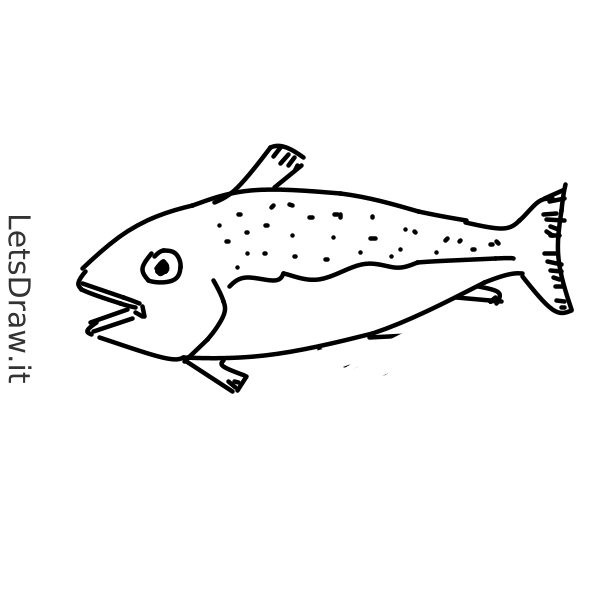 How to draw fish / ejyfb67o4.png / LetsDrawIt