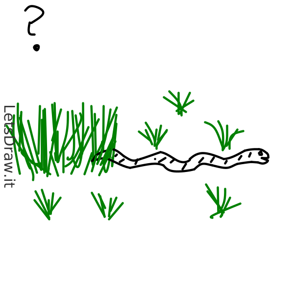 How to draw grass snake / ektydy4xb.png / LetsDrawIt