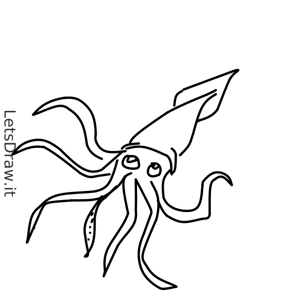 How to draw squid / LetsDrawIt