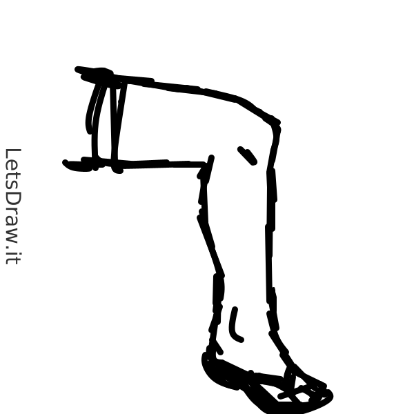 How to draw knee / em3hfwqwk.png / LetsDrawIt