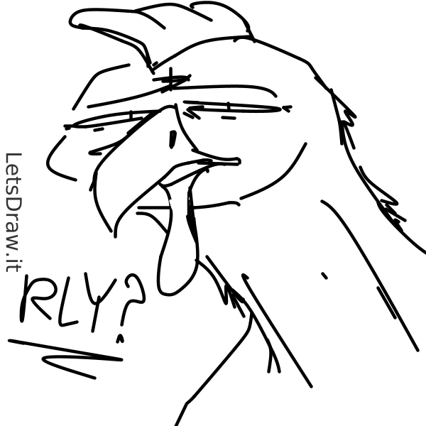 How to draw chicken / emcafydzy.png / LetsDrawIt