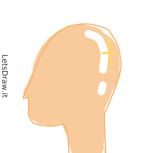 How to draw bald / en118whfk.png / LetsDrawIt