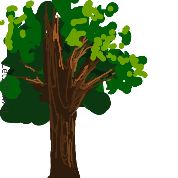 How to draw tree / enzw1g9s3.png / LetsDrawIt