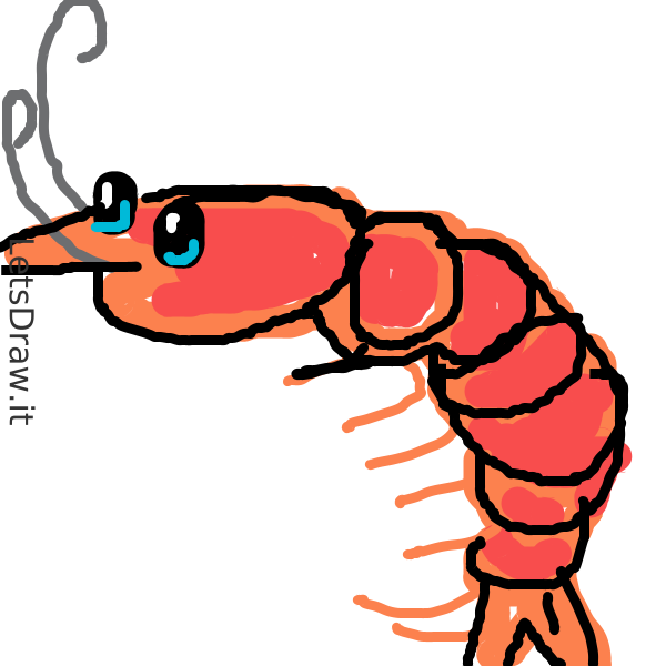How to draw shrimps / eojrq8p7j.png / LetsDrawIt