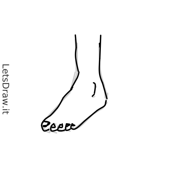 How to draw ankle / epj9c3bd5.png / LetsDrawIt
