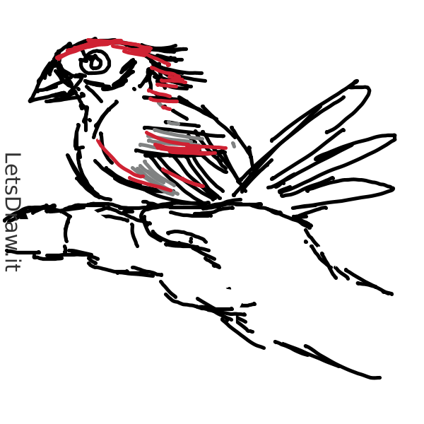 How to draw bird in the hand / epzijic9i.png / LetsDrawIt