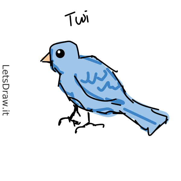 How to draw Twitter / ew1sf6amx.png / LetsDrawIt