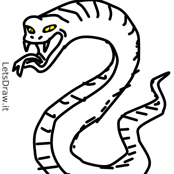 How to draw Anaconda / Learn to draw from other LetsdrawIt players