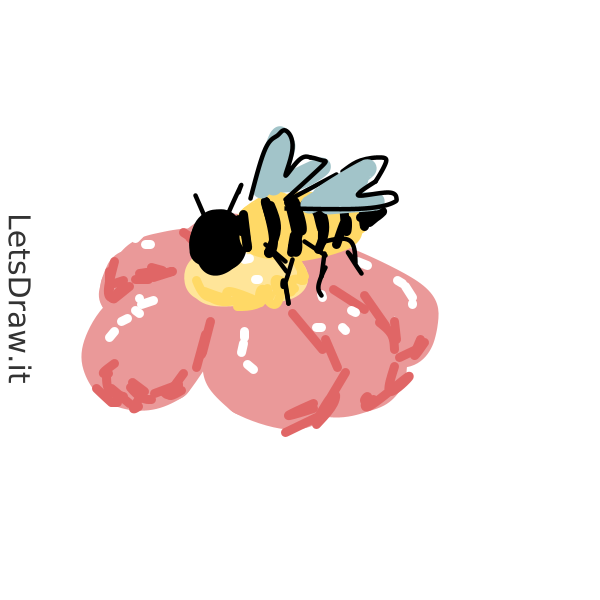How to draw bee / exet8i9bx.png / LetsDrawIt