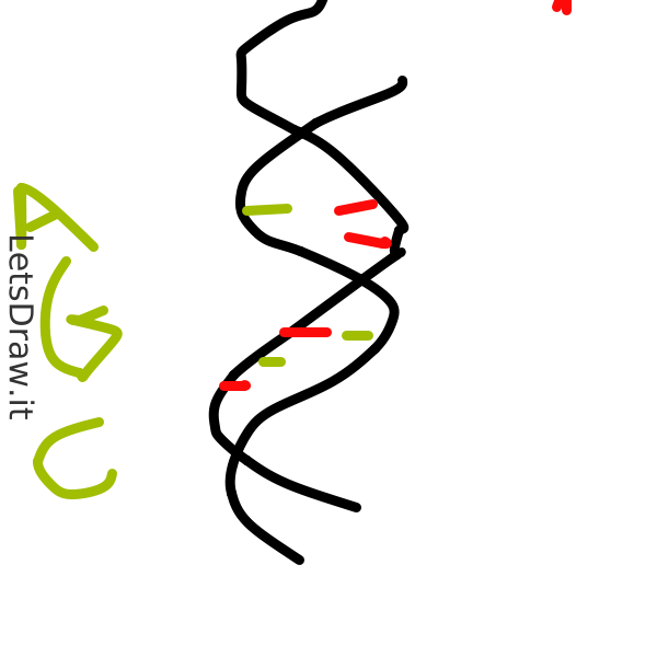 How to draw DNA / ez11jo5t7.png / LetsDrawIt