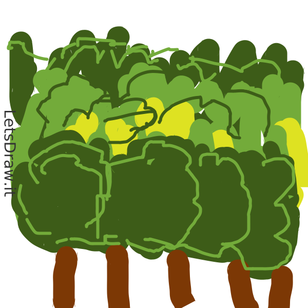 How to draw forest / f48xtjgkd.png / LetsDrawIt