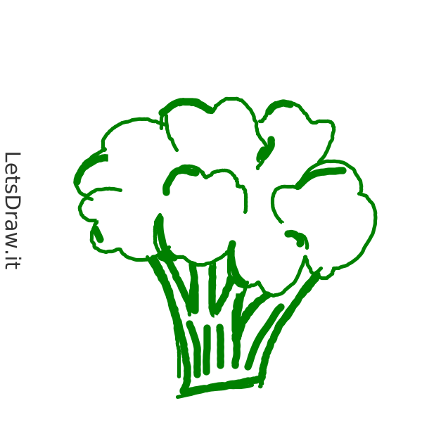 How to draw broccoli / faipbfnej.png / LetsDrawIt
