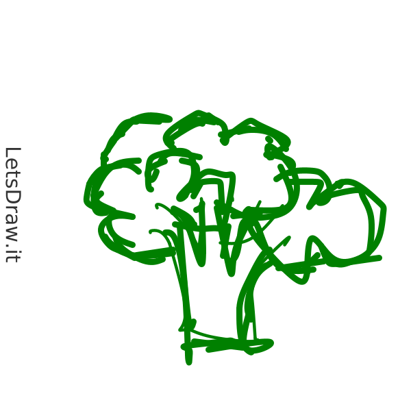 How to draw broccoli / faymnr31x.png / LetsDrawIt