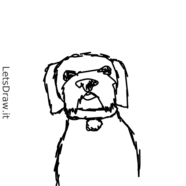 How to draw puppy / fbe5pkagh.png / LetsDrawIt
