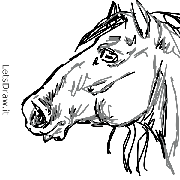 How to draw animal / fdcwjgxk.png / LetsDrawIt