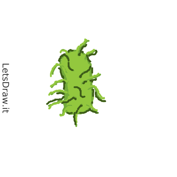 How to draw bacteria / fgmn15f88.png / LetsDrawIt