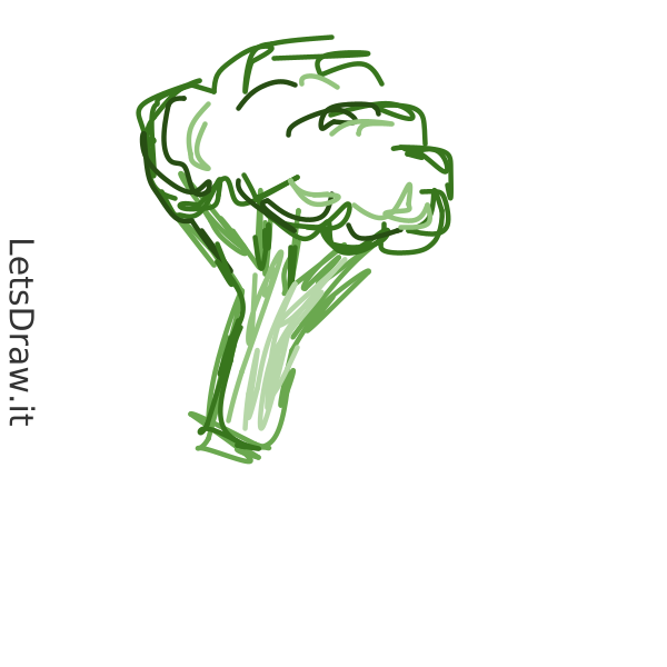 How to draw broccoli / fju9n16aa.png / LetsDrawIt