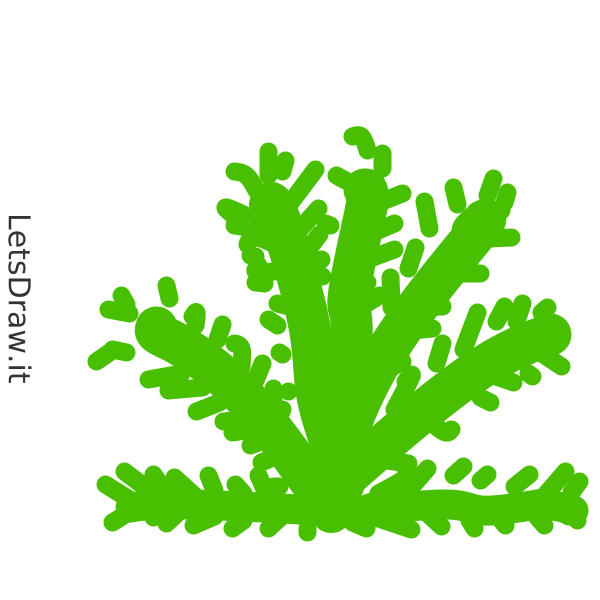 How to draw Cannabis / fqd9pusud.png / LetsDrawIt