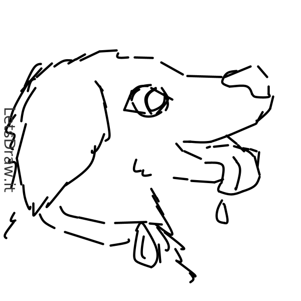 How to draw dog / fxybw31x.png / LetsDrawIt