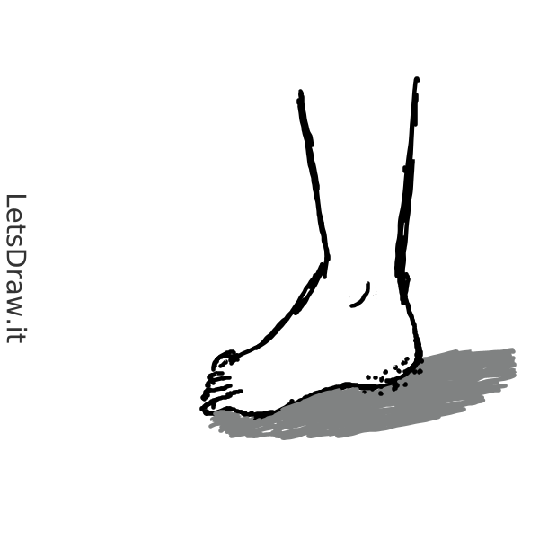 How to draw ankle / fz4bokbq1.png / LetsDrawIt