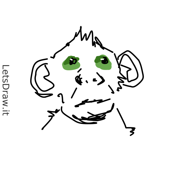 How to draw monkey / fzkhew86x.png / LetsDrawIt