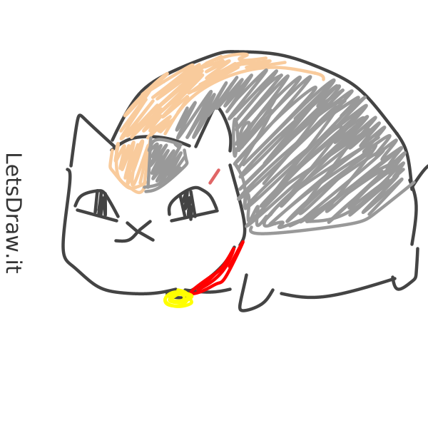 How to draw fat cat / g1cqfx9k9.png / LetsDrawIt