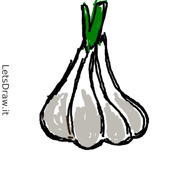 How to draw garlic / g6r3gepxb.png / LetsDrawIt