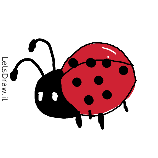 How to draw bug / g7p7fc8dk.png / LetsDrawIt