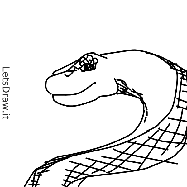 How to draw snake / g9dcamhj.png / LetsDrawIt