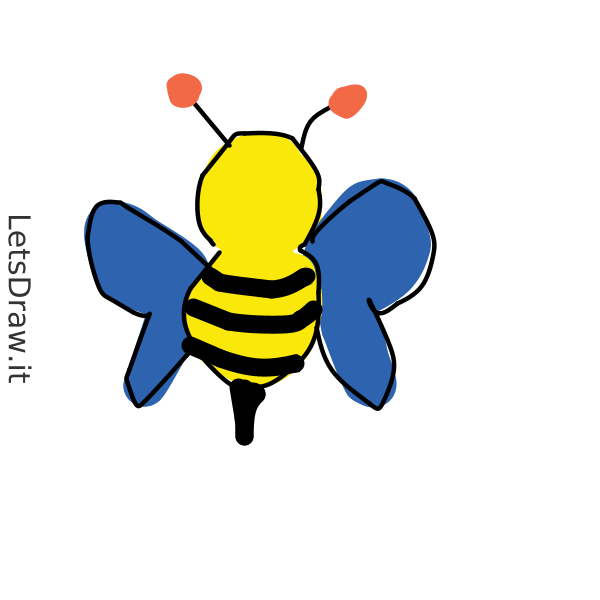 How to draw bee / gb6unwb59.png / LetsDrawIt