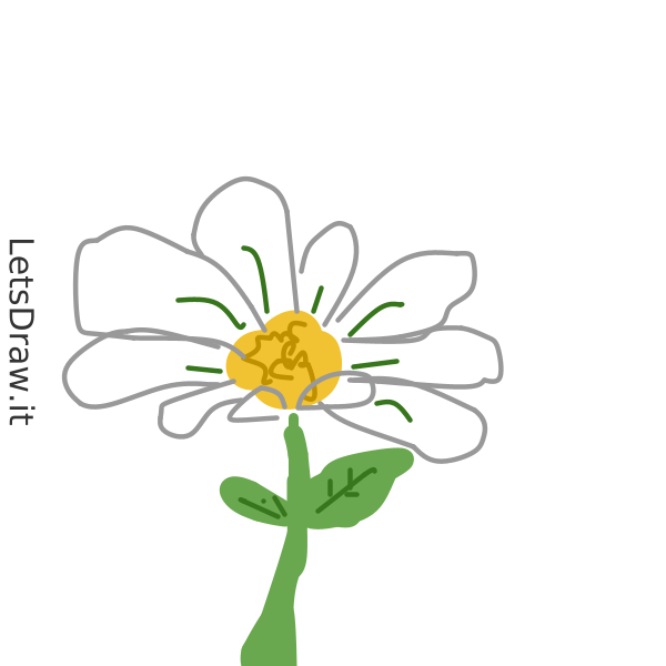 How to draw daisy / gbtgfa5u1.png / LetsDrawIt