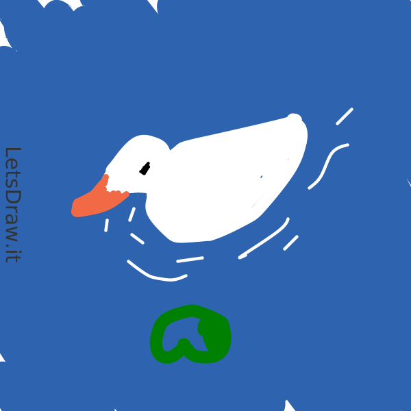 How to draw duck / gg4gncybb.png / LetsDrawIt