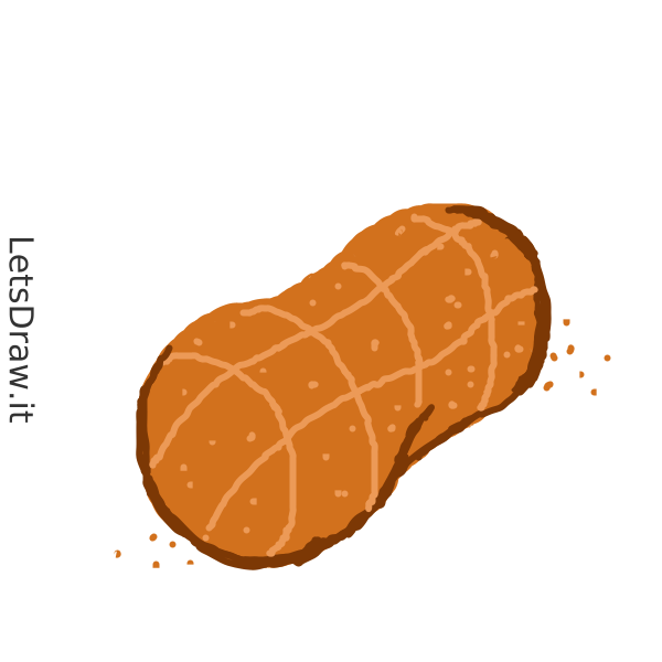 How to draw Peanut / LetsDrawIt