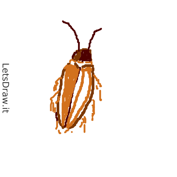 How to draw roach / gngj1mk1b.png / LetsDrawIt
