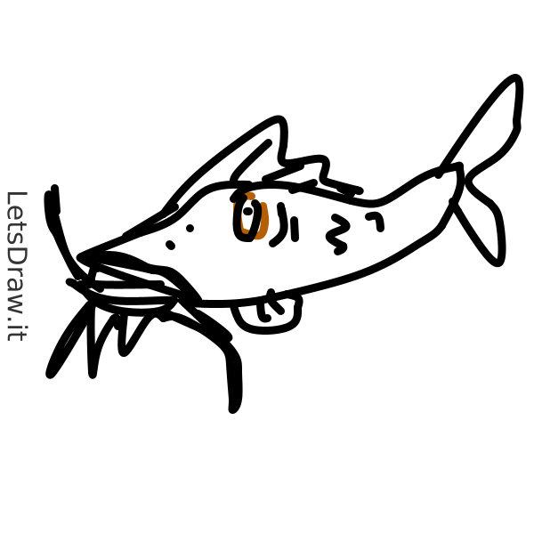 How to draw cat-fish / LetsDrawIt