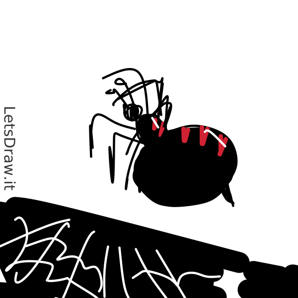 How to draw spider / gqbncnxb.png / LetsDrawIt