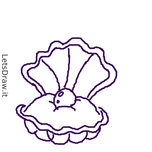 How to draw clam / LetsDrawIt