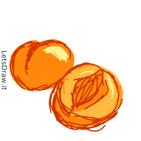 How to draw apricot / gr6njb5x1.png / LetsDrawIt
