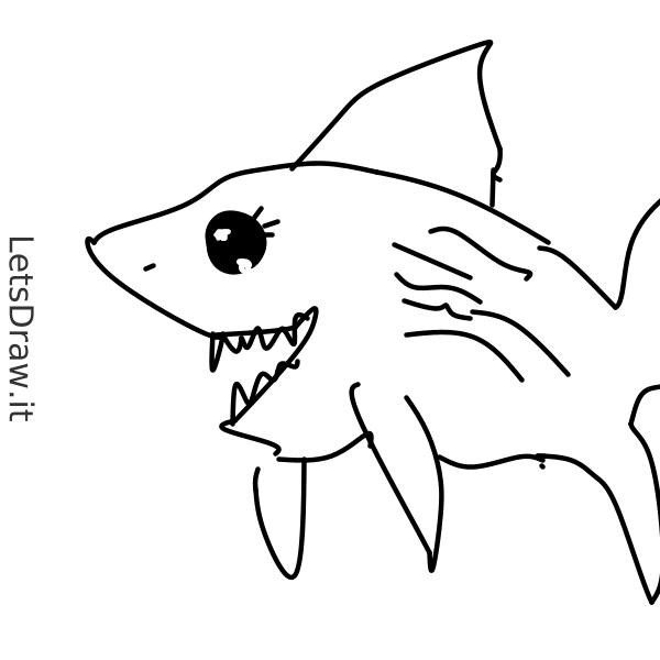 How to draw Sharks / grb6gn9bs.png / LetsDrawIt