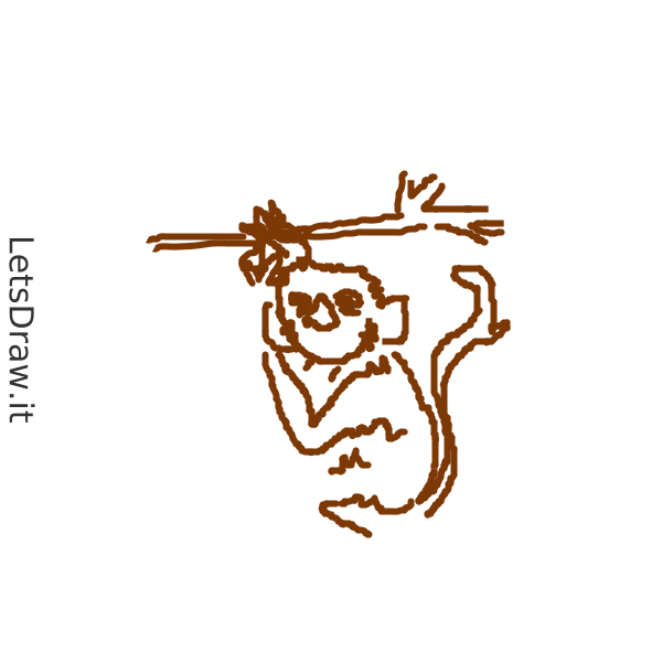 How to draw monkey / guskqa4zq.png / LetsDrawIt