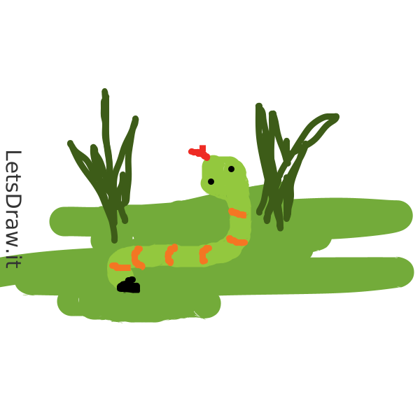 How to draw grass snake / gyghq76i1.png / LetsDrawIt