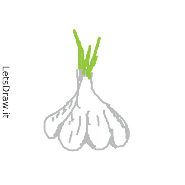 How to draw garlic / gzgsx5zay.png / LetsDrawIt