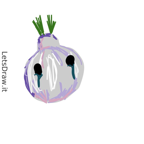 How to draw onion / h3hpgjdpx.png / LetsDrawIt