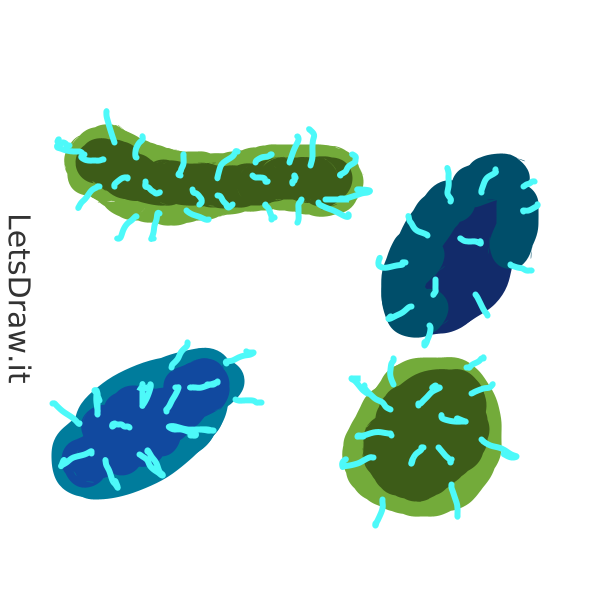 How to draw bacteria / h4dh1pu3j.png / LetsDrawIt