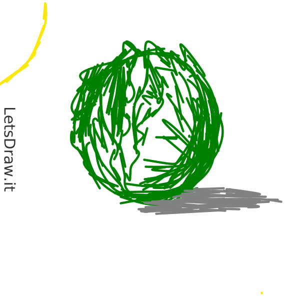 How to draw cabbage / h4gibgj1s.png / LetsDrawIt