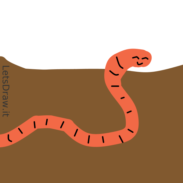 How to draw earthworm / h6s9nb9rt.png / LetsDrawIt