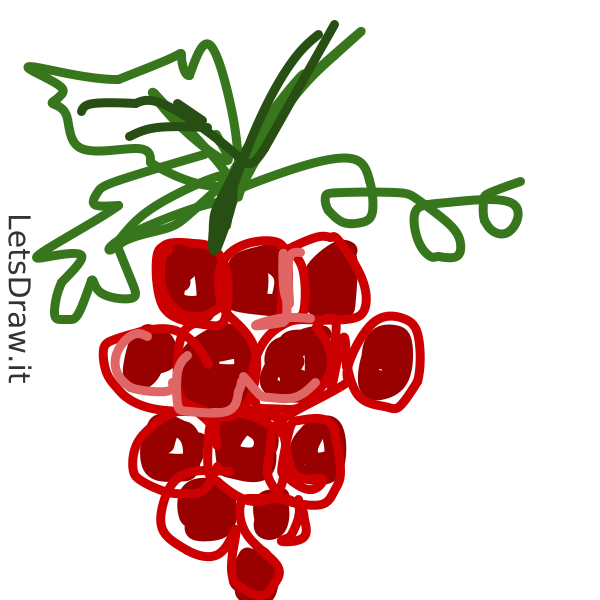 How to draw red grapes / hdhng815i.png / LetsDrawIt